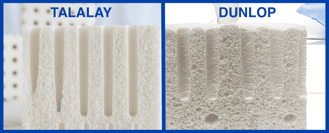 Dunlop vs Talalay mattress: Which one is better?